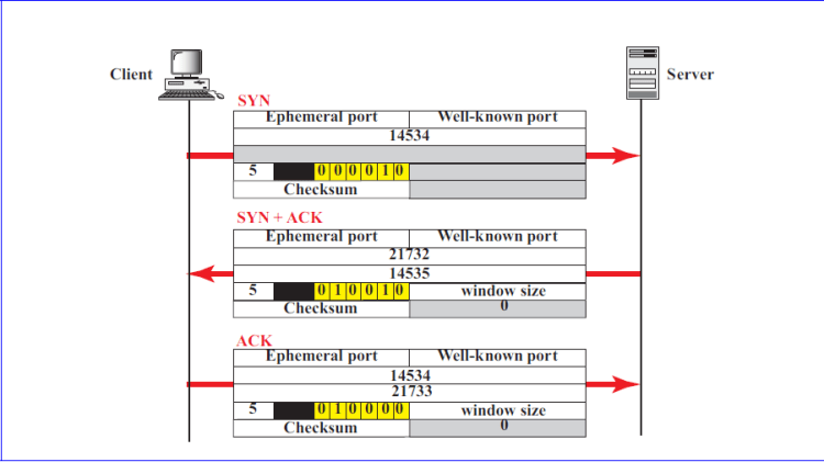 Numerical Practice (TCP Protocol) – Expertvision
